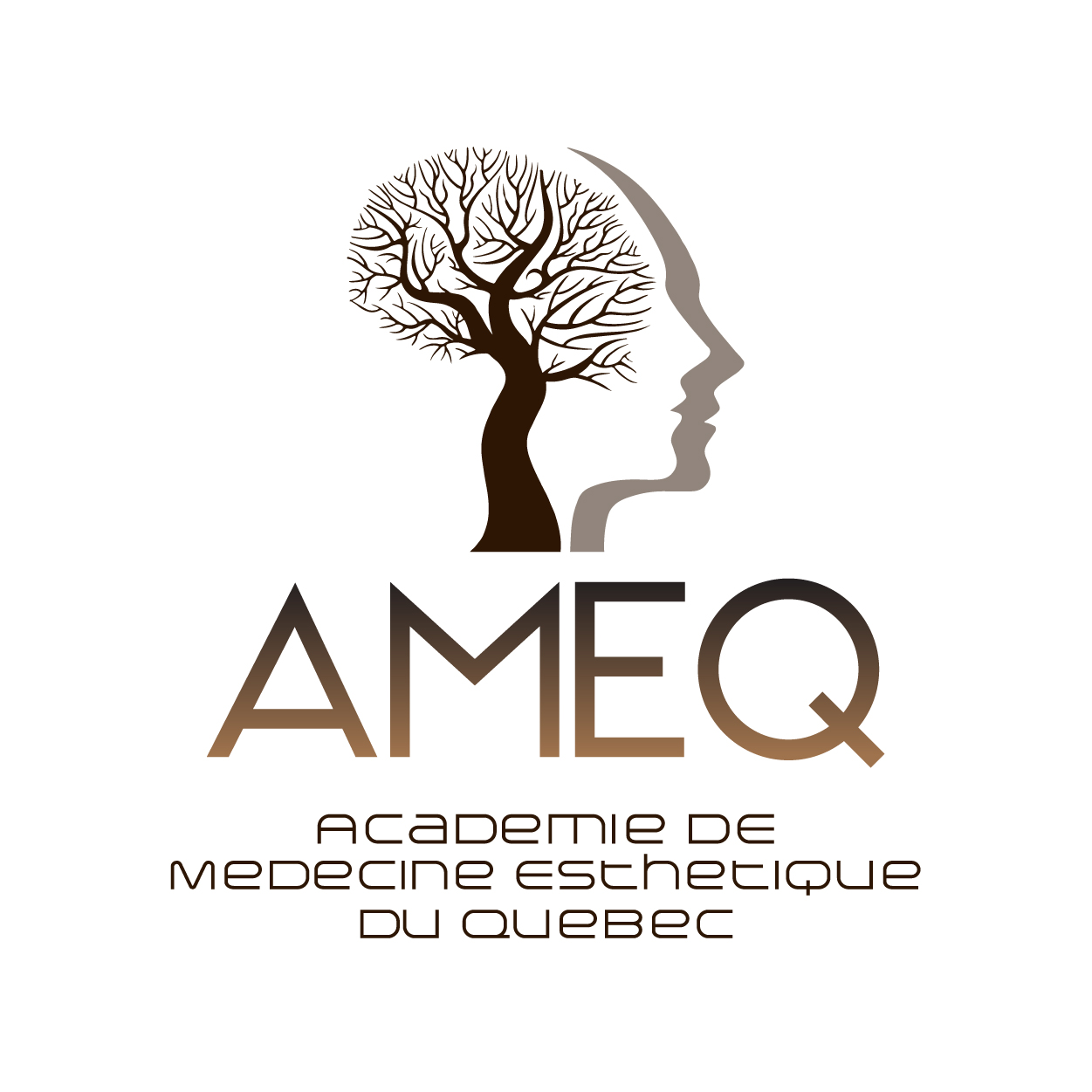 Aesthetic Training Education Courses for Nurses Doctors AMEQ